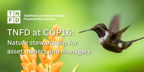 COP 16